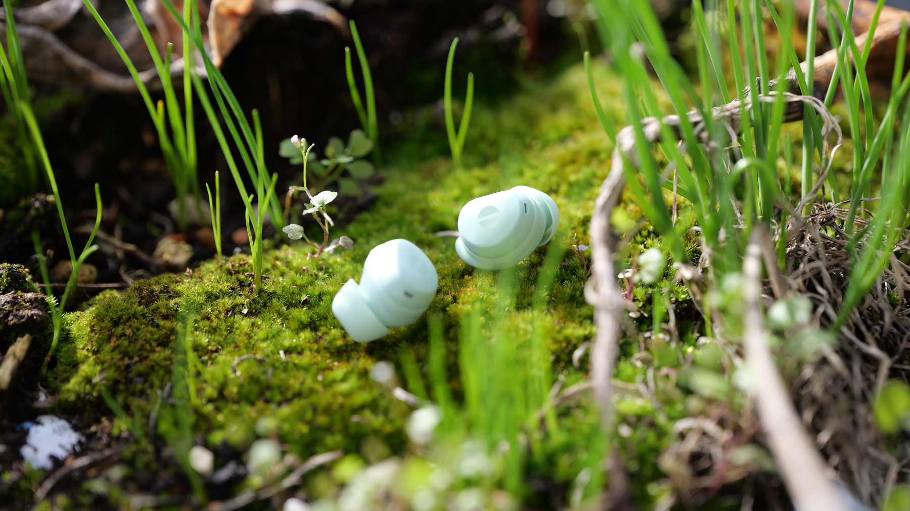 Eardopes.nl: ️Morgen in huis ️Draadloze oordopjes ️Webshop